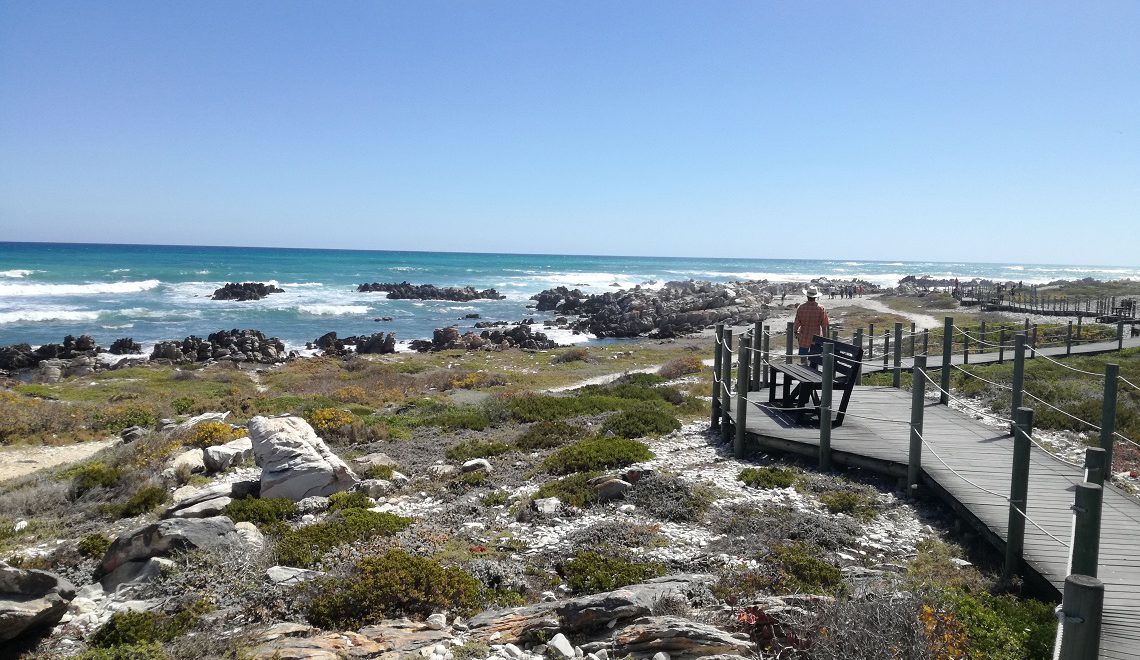 Agulhas National Park - Safari World Tour