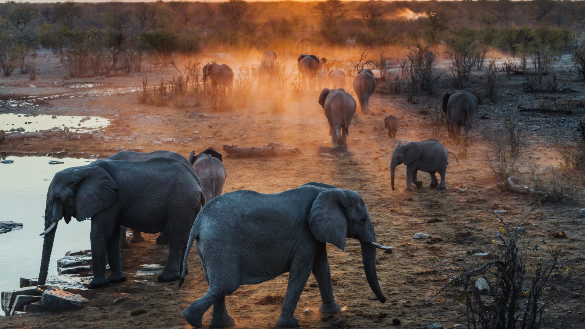Top 10 African Safari Tours 2024-2025 - Safari World Tours
